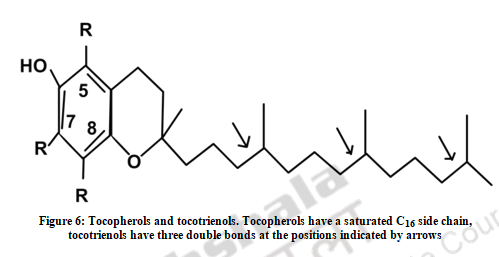 Neutral fats I – Structure and function of biomolecules (lipids and ...