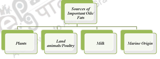 Neutral fats II – Structure and function of biomolecules (lipids and ...