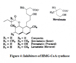 Steroids – Structure and function of biomolecules (lipids and nucleic ...