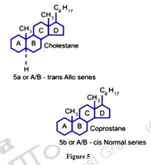 Steroids – Structure and function of biomolecules (lipids and nucleic ...