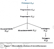 Steroids – Structure and function of biomolecules (lipids and nucleic ...