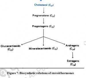 Steroids – Structure and function of biomolecules (lipids and nucleic ...