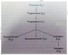 Steroids – Structure and function of biomolecules (lipids and nucleic ...