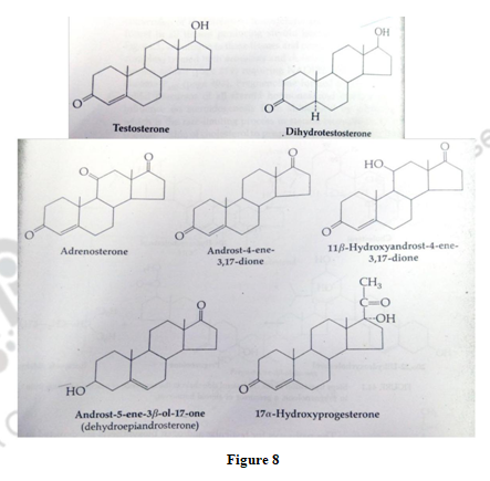 Steroids – Structure and function of biomolecules (lipids and nucleic ...
