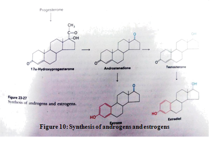 Steroids – Structure and function of biomolecules (lipids and nucleic ...