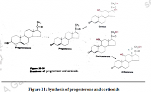 Steroids – Structure and function of biomolecules (lipids and nucleic ...