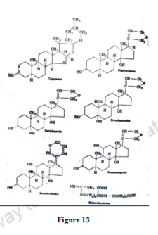 Steroids – Structure and function of biomolecules (lipids and nucleic ...