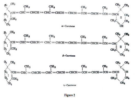 Lipids as co-factor and pigments – Structure and function of ...