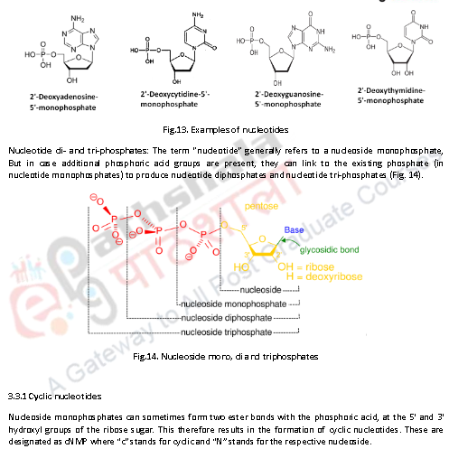 Nucleosides, Nucleotides and type of Nucleic Acids – Structure and ...