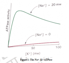 Pumps and ATPases – Structure and function of biomolecules (lipids and ...