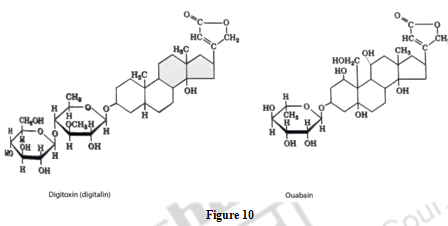 Pumps and ATPases – Structure and function of biomolecules (lipids and ...