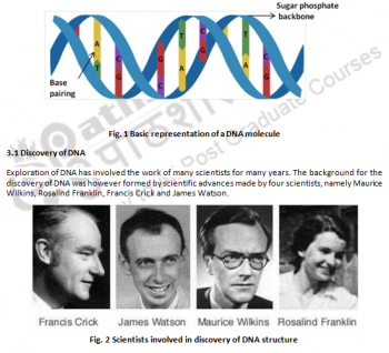 Double Helix of DNA – Structure and function of biomolecules (lipids ...