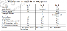 DNA Polymerase – Structure and function of biomolecules (lipids and ...