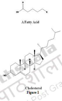 Lipids: An introduction – Structure and function of biomolecules ...
