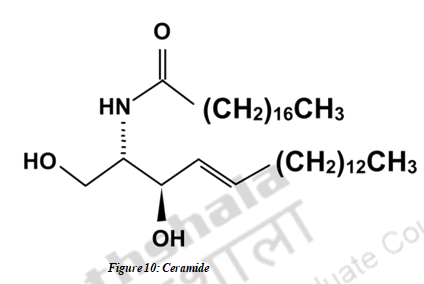 Lipids: An introduction – Structure and function of biomolecules ...
