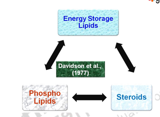Classification of Lipids – Lipid metabolism