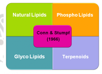 Classification of Lipids – Lipid metabolism