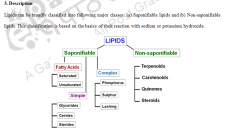 Classification of Lipids – Lipid metabolism