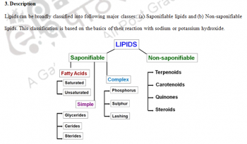 Classification of Lipids – Lipid metabolism