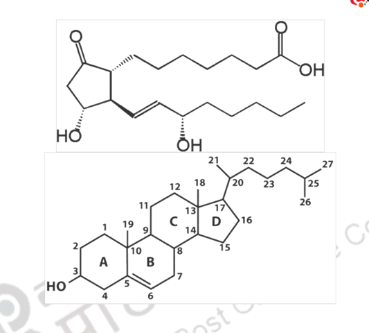 Classification of Lipids – Lipid metabolism