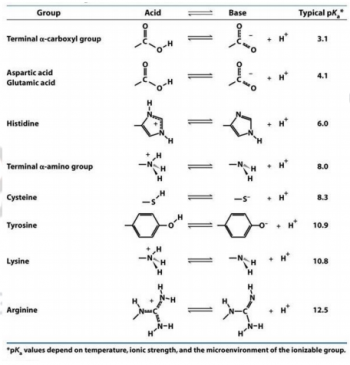 Enzyme ionizable groups – Protein biochemistry and enzymology