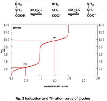 Enzyme ionizable groups – Protein biochemistry and enzymology