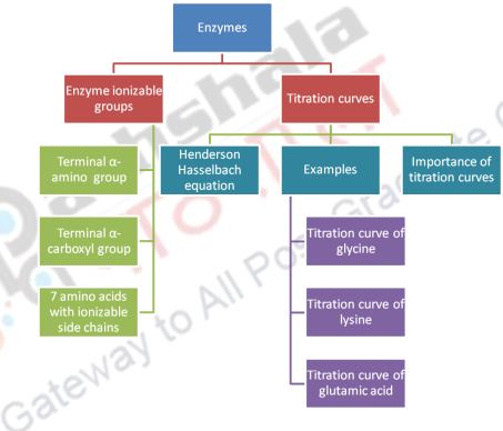 Enzyme ionizable groups – Protein biochemistry and enzymology