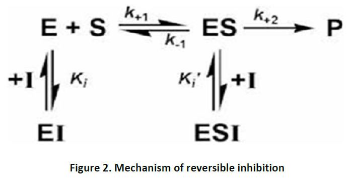 Enzyme Inhibition – Protein biochemistry and enzymology