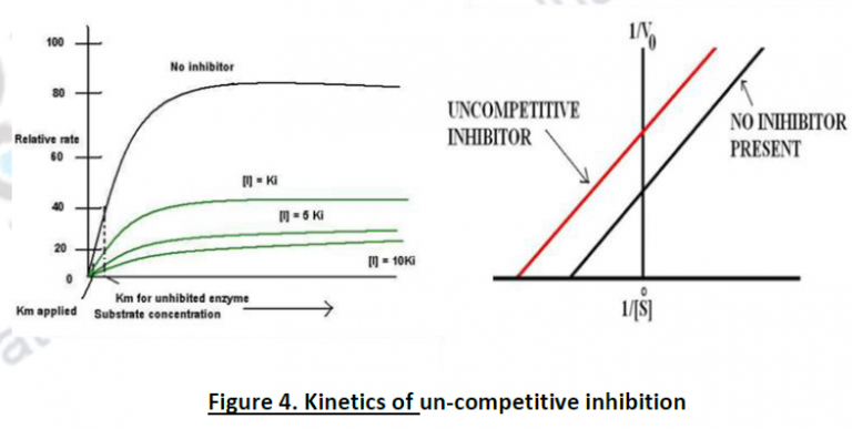 Enzyme Inhibition – Protein biochemistry and enzymology