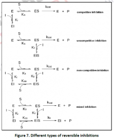 Enzyme Inhibition – Protein biochemistry and enzymology
