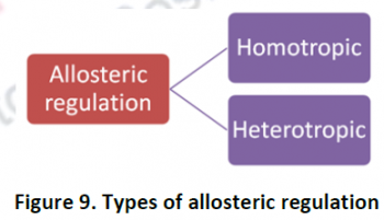 Enzyme Inhibition – Protein biochemistry and enzymology