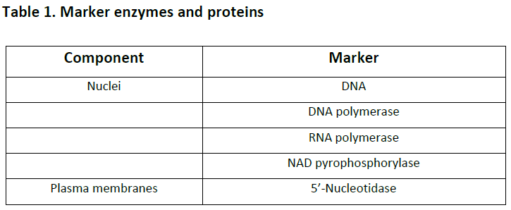 Enzyme compartmentalization in cells and tissues – Protein biochemistry ...