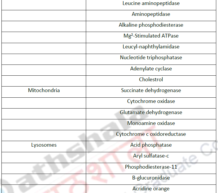 Enzyme compartmentalization in cells and tissues – Protein biochemistry ...
