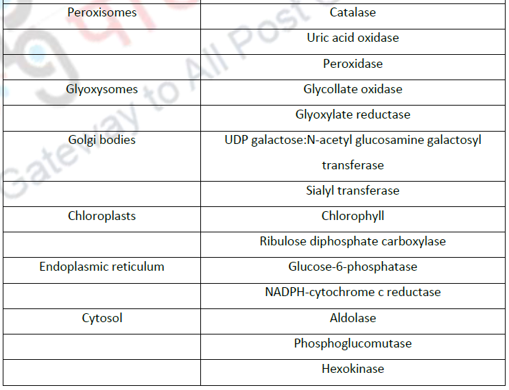 Enzyme compartmentalization in cells and tissues – Protein biochemistry ...