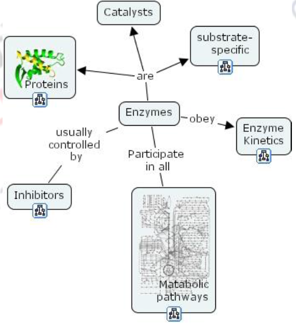 Enzyme Application – Protein biochemistry and enzymology