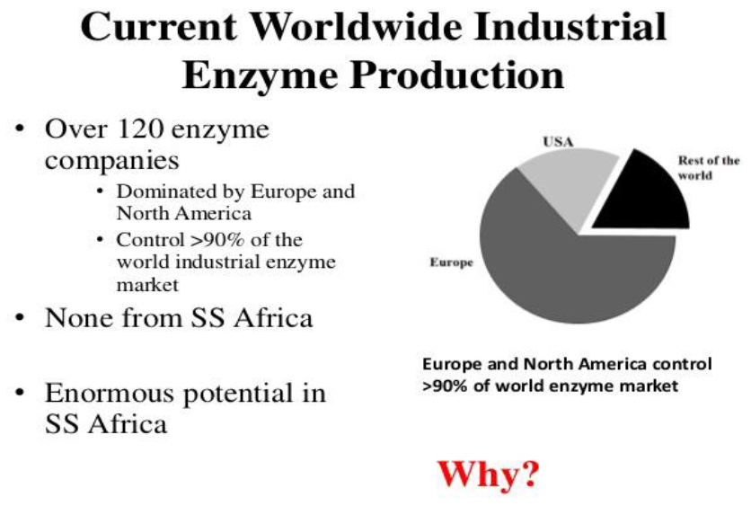 Enzyme Application – Protein biochemistry and enzymology