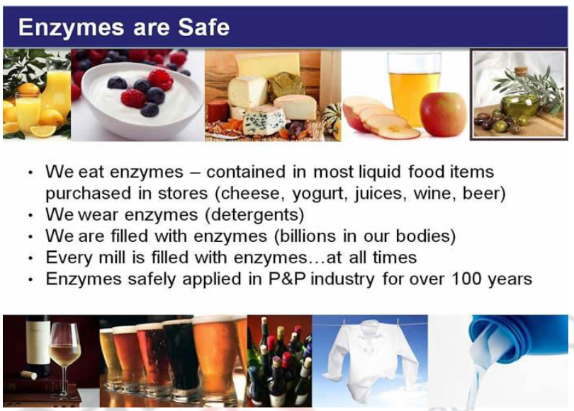 Enzyme Application – Protein biochemistry and enzymology