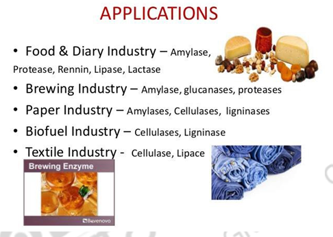 Enzyme Application – Protein biochemistry and enzymology