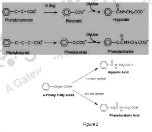 Epitopes, Antigenicity and Haptens – Immunology