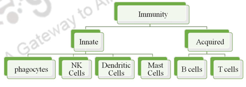 Types of Immunity: Innate and Acquired – Immunology