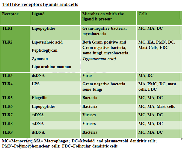 Types of Immunity: Innate and Acquired – Immunology