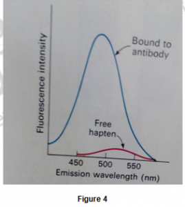 Clonal Selection Theory – Immunology