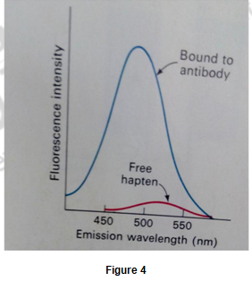 Clonal Selection Theory – Immunology