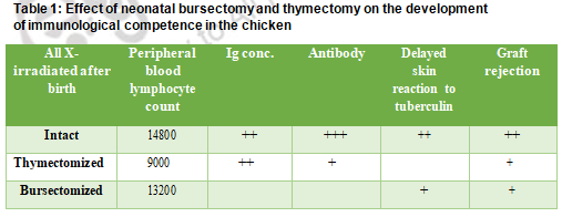 T-cell classes and functions – Immunology