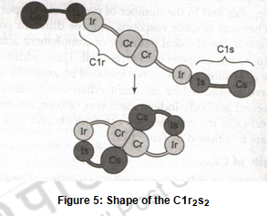 Complement System-I – Immunology