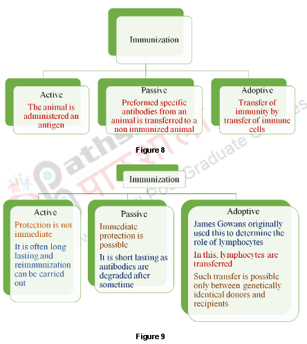 Types of Antigens and Immunization Procedures – Immunology