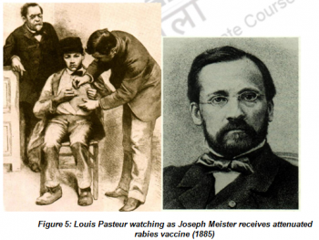 History of Immunology – Immunology