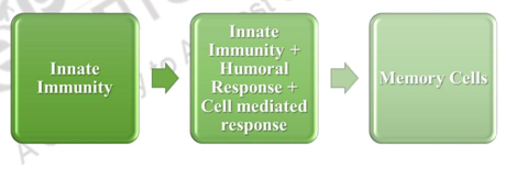 Humoral and Cellular Immunity – Immunology