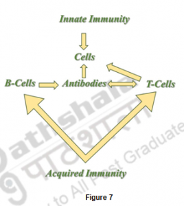 Humoral and Cellular Immunity – Immunology