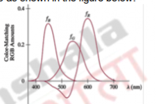 Color Models – Computer Gaphics and Visualization